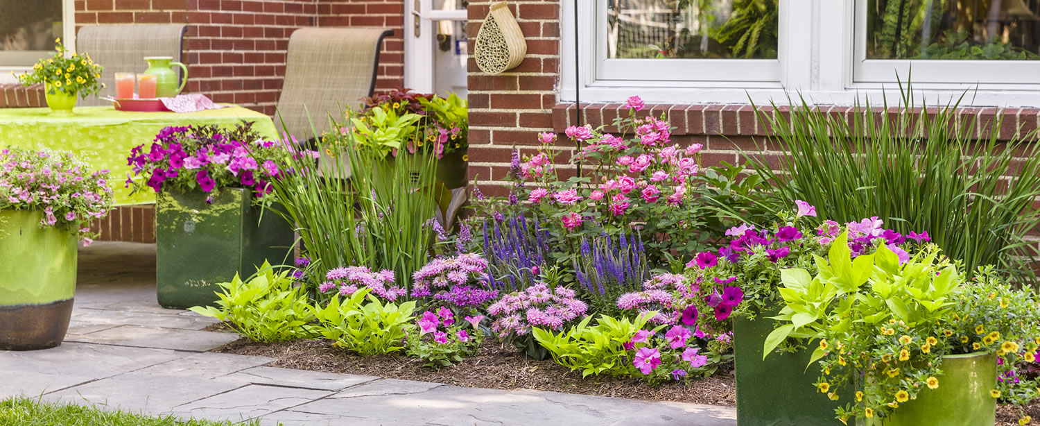 Home - Raines Farms and Greenhouses